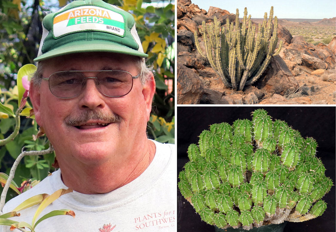 Bob Webb: Euphorbias II: “Spiny Shrubs and Mound Formers” – Gates ...