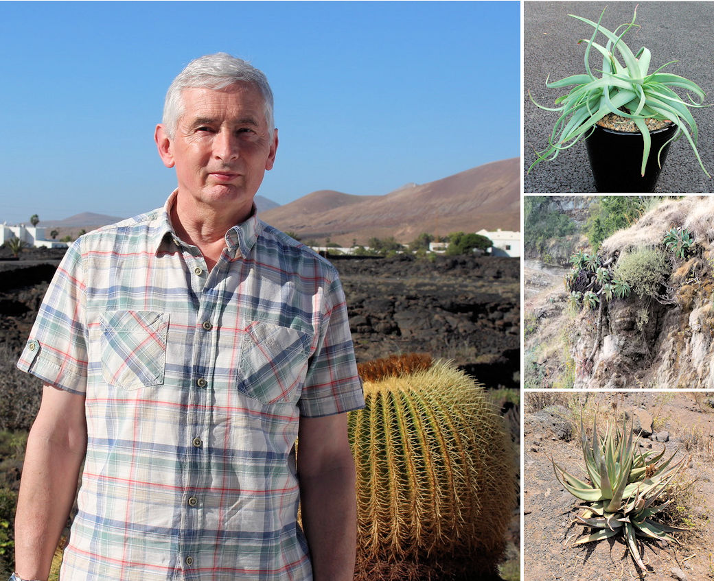Colin Walker | The Aloes of Ethiopia – Gates Cactus and Succulent Society