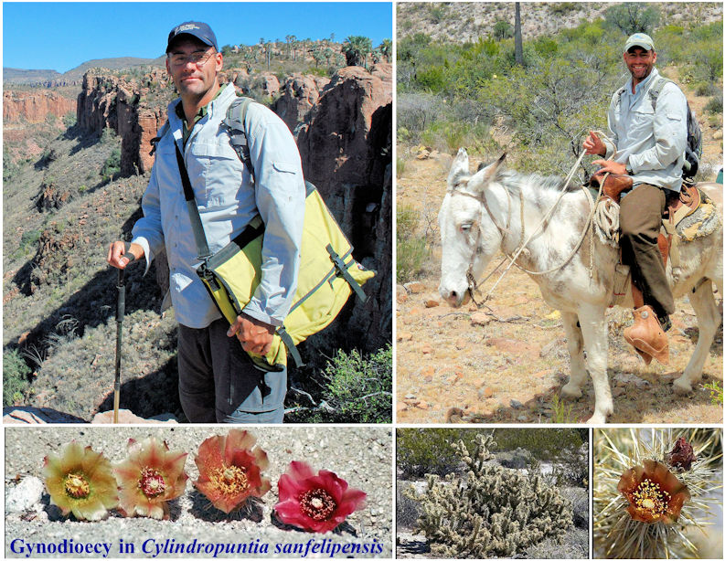 Jon Rebman | Cactus Evolution – Gates Cactus and Succulent Society